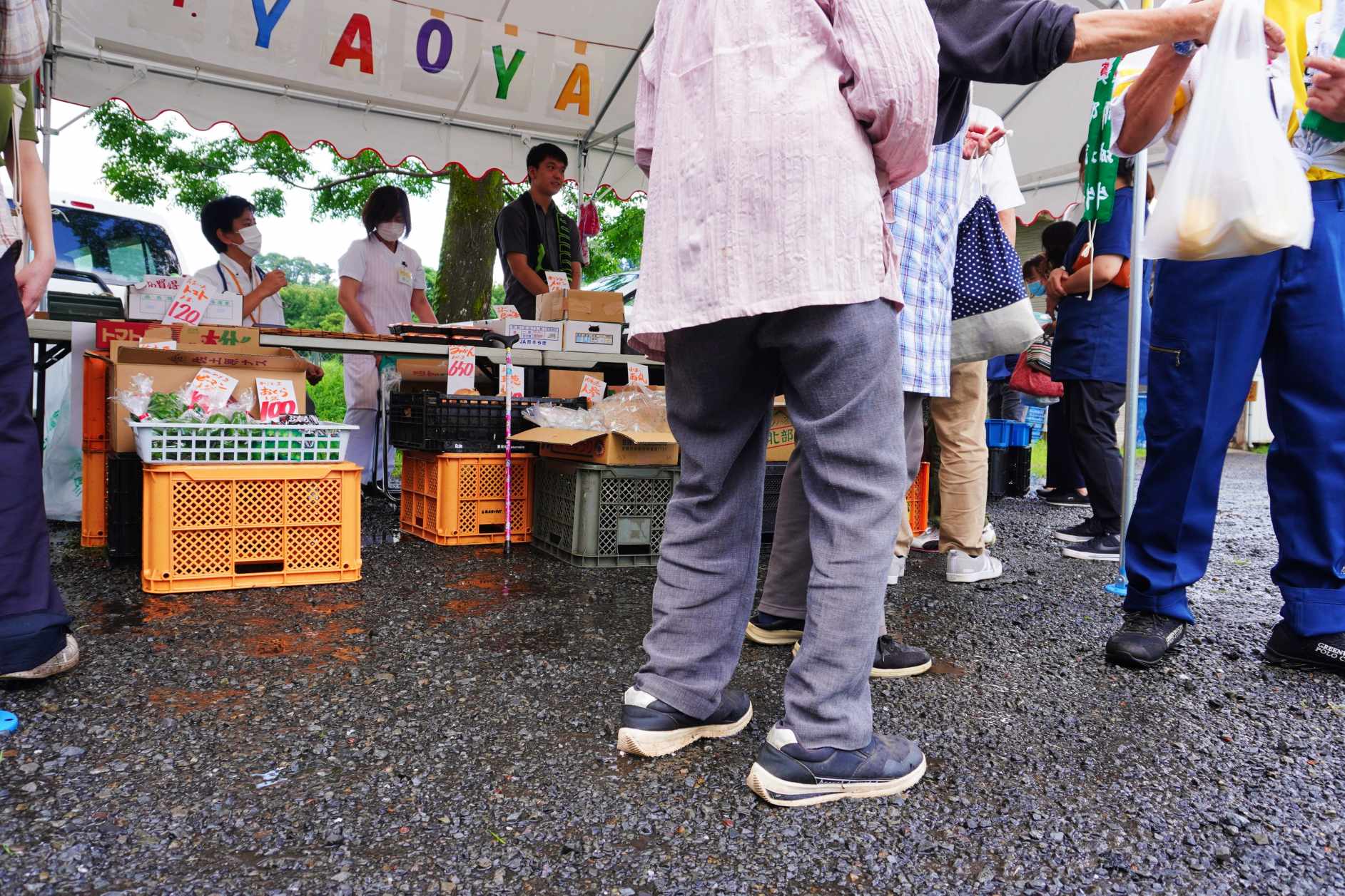 世にも奇妙なDr.YAOYAが爆誕！ | 三股町コミュニティデザインラボ